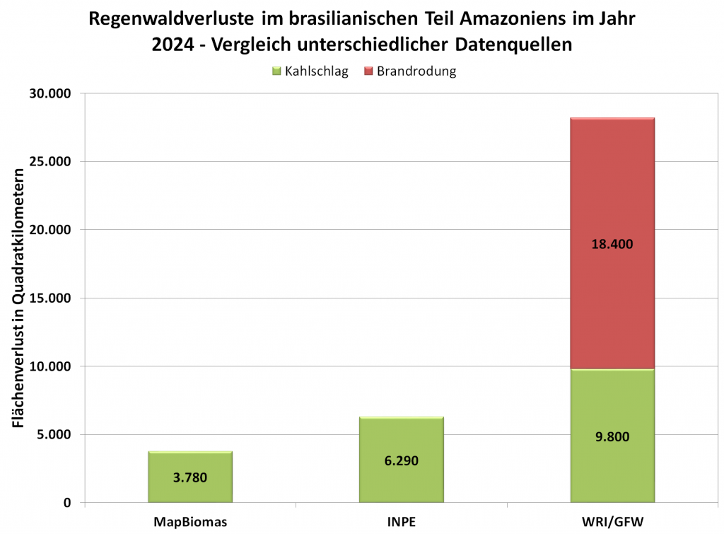 Regenwaldverluste in Amazonien - welche Zahlen sind verlässlich ...