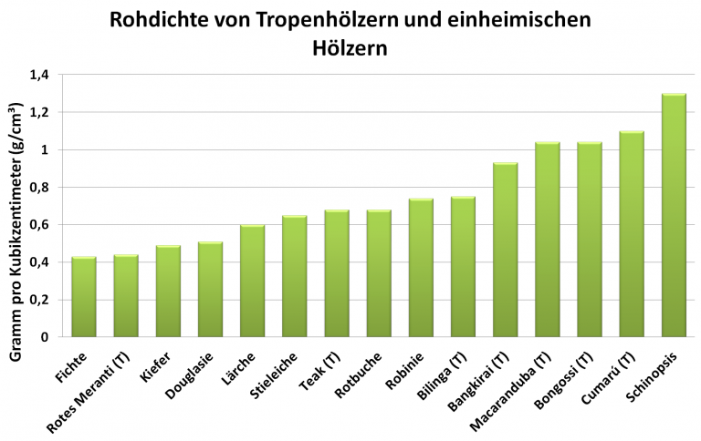 Tropenhölzer – edel und hart - Faszination Regenwald